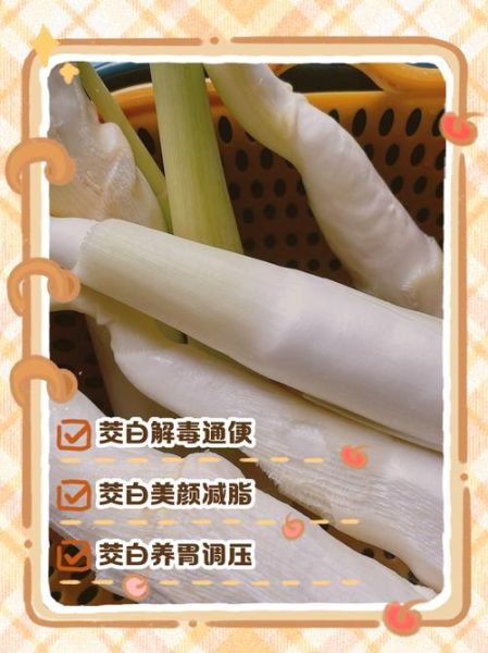茭白有什么功效与作用_茭白怎么吃最好-第2张图片-山城妙识