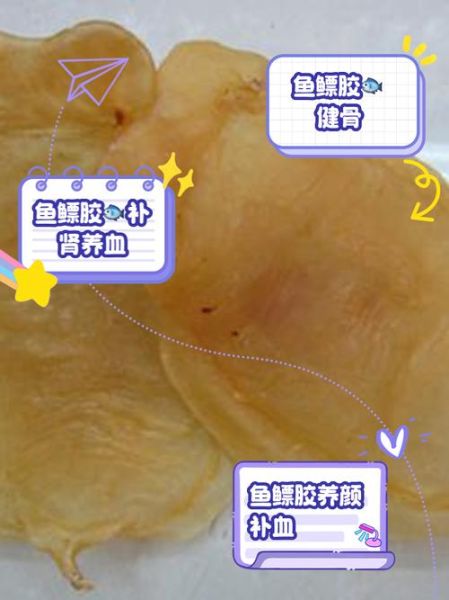 鱼鳔胶怎么做_鱼鳔胶的功效与做法-第2张图片-山城妙识 鱼鳔胶怎么做_鱼鳔胶的功效与做法-第2张图片-山城妙识