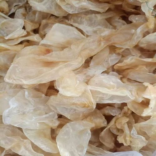 鱼鳔胶怎么做_鱼鳔胶的功效与做法-第3张图片-山城妙识 鱼鳔胶怎么做_鱼鳔胶的功效与做法-第3张图片-山城妙识