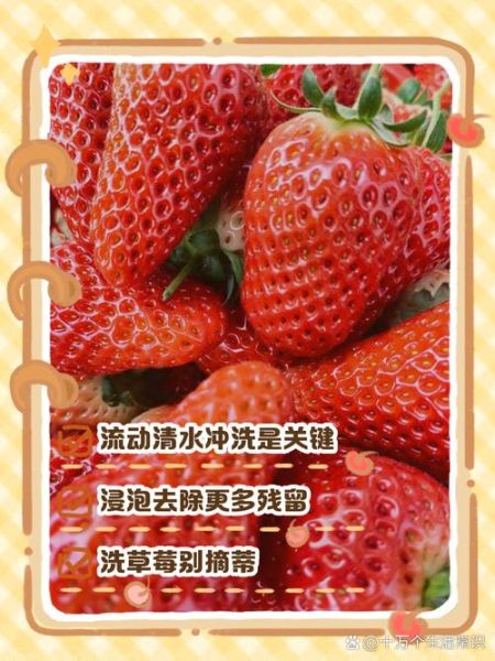 草莓怎么洗才干净_草莓清洗的正确方法-第2张图片-山城妙识