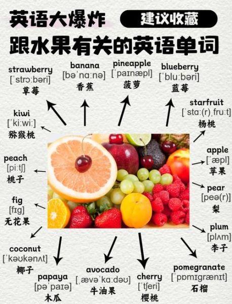 水果英语单词大全_常见水果英文名称有哪些-第1张图片-山城妙识