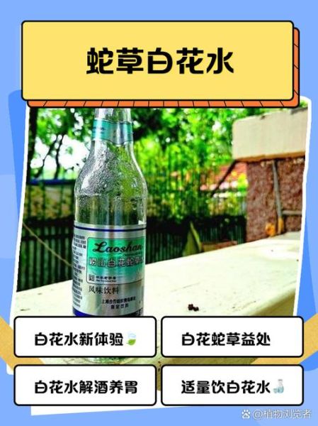 白花蛇草水女性为什么不能喝_经期能喝白花蛇草水吗-第1张图片-山城妙识 白花蛇草水女性为什么不能喝_经期能喝白花蛇草水吗-第1张图片-山城妙识