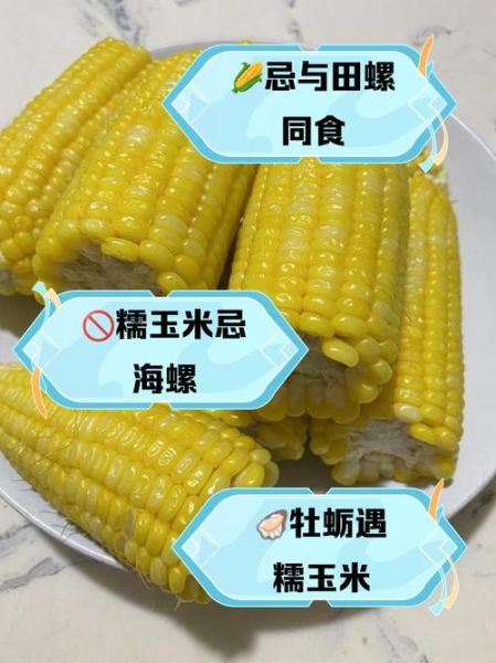 玉米不能和什么一起吃_哪些人不能吃玉米-第2张图片-山城妙识
