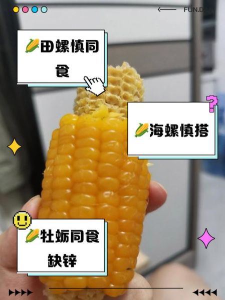 玉米不能和什么一起吃_哪些人不能吃玉米-第3张图片-山城妙识