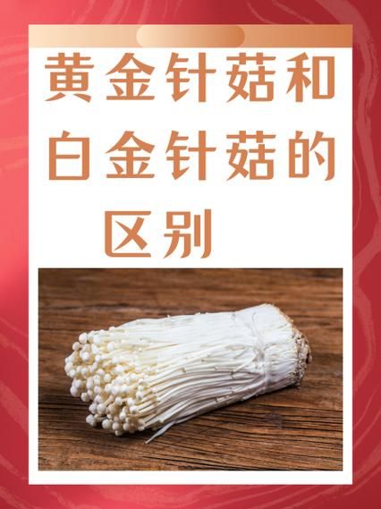 金针菇的功效与作用_金针菇的禁忌人群有哪些-第2张图片-山城妙识