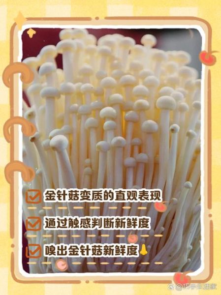 金针菇的功效与作用_金针菇的禁忌人群有哪些-第3张图片-山城妙识
