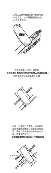 如何增大变粗_增大变粗最好的方法-第1张图片-山城妙识