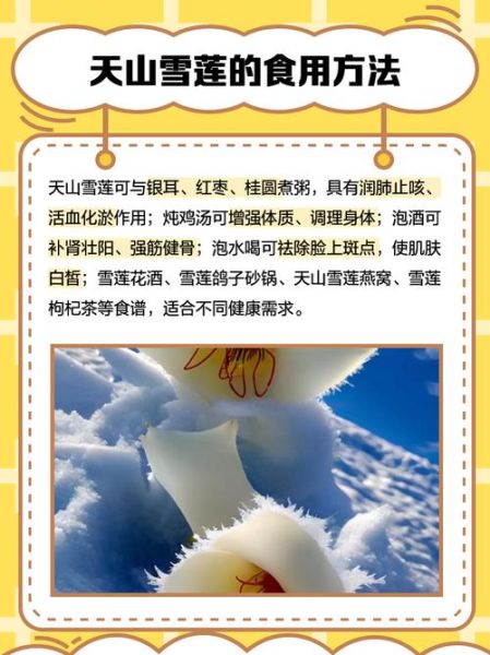 天山雪莲花价格多少钱一斤_天山雪莲花价格影响因素-第1张图片-山城妙识