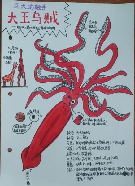 大王乌贼和大王酸浆鱿的区别_谁才是深海巨兽之王-第3张图片-山城妙识