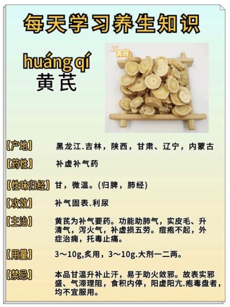 黄芪的功效与作用_黄芪适合什么人吃-第1张图片-山城妙识 黄芪的功效与作用_黄芪适合什么人吃-第1张图片-山城妙识