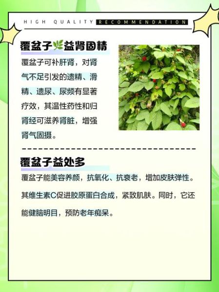 覆盆子功效与作用_覆盆子用法用量-第2张图片-山城妙识