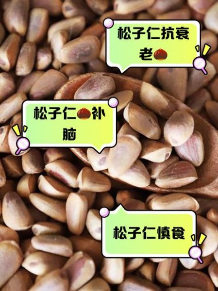 松子仁的功效与作用_松子仁的禁忌有哪些-第1张图片-山城妙识 松子仁的功效与作用_松子仁的禁忌有哪些-第1张图片-山城妙识