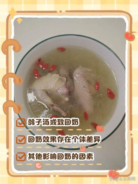 鸽子汤回奶吗_哺乳期喝鸽子汤会回奶吗-第1张图片-山城妙识