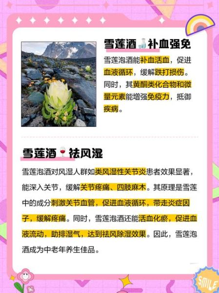 藏雪莲泡水喝的禁忌_哪些人不能喝-第3张图片-山城妙识