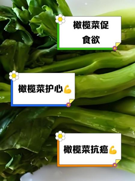 橄榄菜的营养价值_孕妇能吃橄榄菜吗-第1张图片-山城妙识