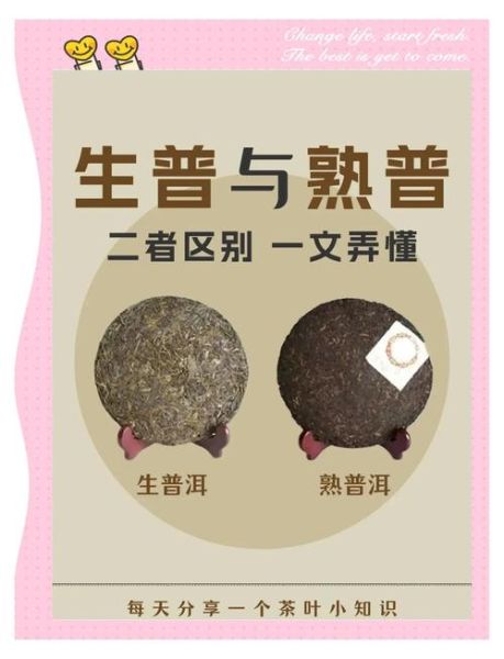 生普洱和熟普洱哪个减肥好_生普洱与熟普洱功效区别-第1张图片-山城妙识 生普洱和熟普洱哪个减肥好_生普洱与熟普洱功效区别-第1张图片-山城妙识