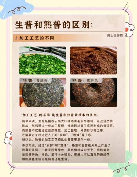 生普洱和熟普洱哪个减肥好_生普洱与熟普洱功效区别-第2张图片-山城妙识 生普洱和熟普洱哪个减肥好_生普洱与熟普洱功效区别-第2张图片-山城妙识