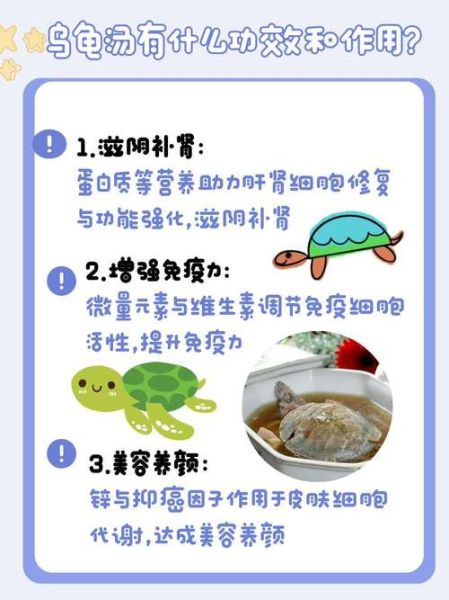 炖龟汤用什么药材_炖龟汤最佳药材推荐-第1张图片-山城妙识 炖龟汤用什么药材_炖龟汤最佳药材推荐-第1张图片-山城妙识