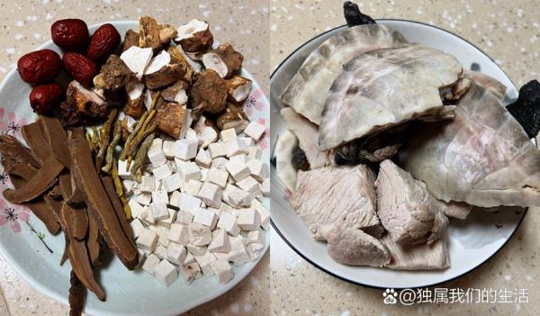 炖龟汤用什么药材_炖龟汤最佳药材推荐-第3张图片-山城妙识 炖龟汤用什么药材_炖龟汤最佳药材推荐-第3张图片-山城妙识