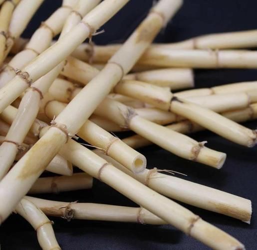 鲜芦根和干芦根的区别_鲜芦根与干芦根哪个更好-第1张图片-山城妙识 鲜芦根和干芦根的区别_鲜芦根与干芦根哪个更好-第1张图片-山城妙识