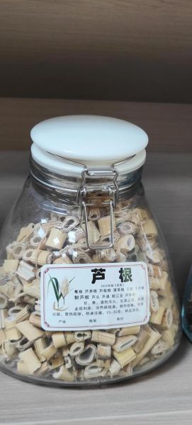 鲜芦根和干芦根的区别_鲜芦根与干芦根哪个更好-第3张图片-山城妙识 鲜芦根和干芦根的区别_鲜芦根与干芦根哪个更好-第3张图片-山城妙识