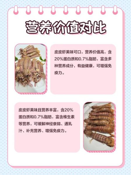 虾姑图片大全_虾姑和皮皮虾的区别-第3张图片-山城妙识