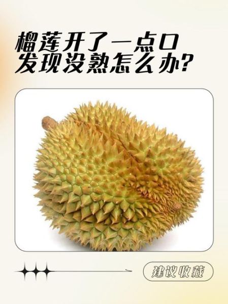 榴莲没熟剥开了怎么办_榴莲剥开不熟还能吃吗-第3张图片-山城妙识