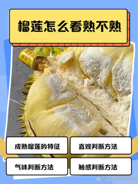 榴莲没熟剥开了怎么办_榴莲剥开不熟还能吃吗-第2张图片-山城妙识