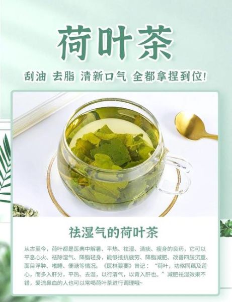 荷叶茶减肥有效吗_荷叶茶减肥原理是什么-第2张图片-山城妙识