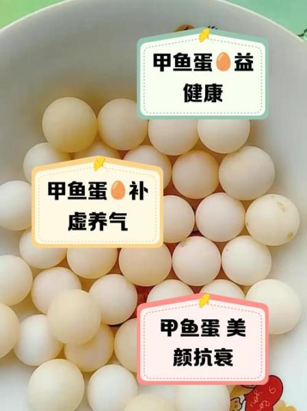 甲鱼蛋的副作用有哪些_甲鱼蛋吃多了会怎样-第1张图片-山城妙识 甲鱼蛋的副作用有哪些_甲鱼蛋吃多了会怎样-第1张图片-山城妙识