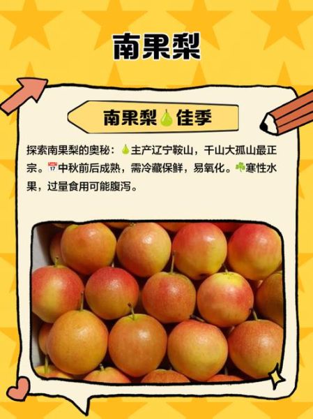 南果梨产地在哪里_南果梨什么时候成熟-第3张图片-山城妙识 南果梨产地在哪里_南果梨什么时候成熟-第3张图片-山城妙识