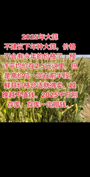 2021年大蒜最高价格是多少_大蒜行情预测-第3张图片-山城妙识