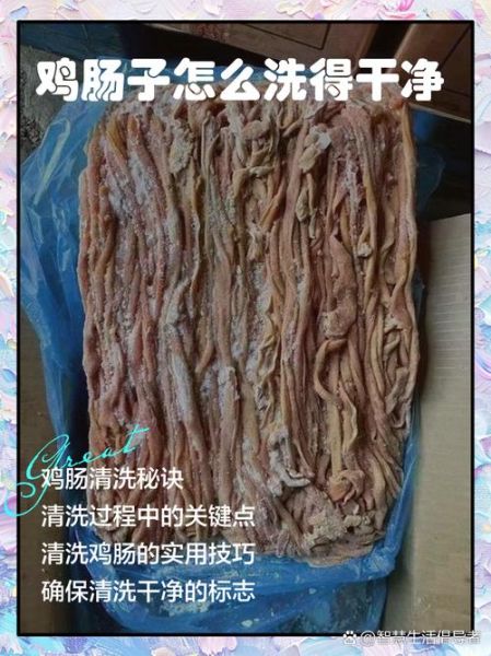 鸡肠子怎么洗得干净_鸡肠子清洗技巧-第1张图片-山城妙识 鸡肠子怎么洗得干净_鸡肠子清洗技巧-第1张图片-山城妙识
