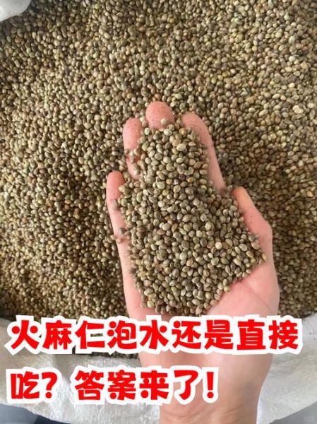 火麻仁长什么样_火麻仁图片与实物区别-第1张图片-山城妙识