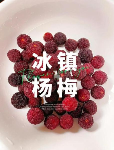 冰糖杨梅汁怎么做_冰糖杨梅汁的功效与禁忌-第1张图片-山城妙识 冰糖杨梅汁怎么做_冰糖杨梅汁的功效与禁忌-第1张图片-山城妙识