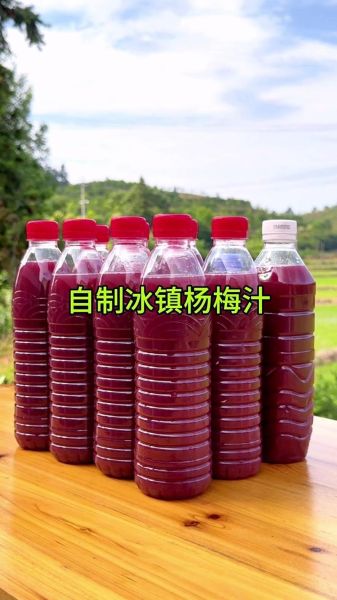 冰糖杨梅汁怎么做_冰糖杨梅汁的功效与禁忌-第3张图片-山城妙识 冰糖杨梅汁怎么做_冰糖杨梅汁的功效与禁忌-第3张图片-山城妙识