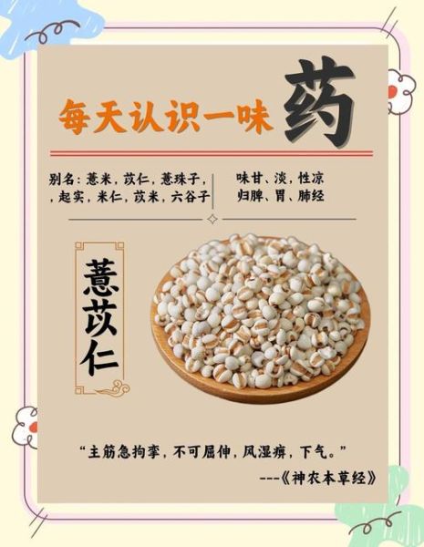 薏苡怎么读_薏苡仁的功效与作用-第1张图片-山城妙识 薏苡怎么读_薏苡仁的功效与作用-第1张图片-山城妙识