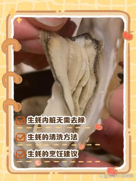 生蚝哪些部位不能吃图解_生蚝内脏怎么分辨-第2张图片-山城妙识 生蚝哪些部位不能吃图解_生蚝内脏怎么分辨-第2张图片-山城妙识