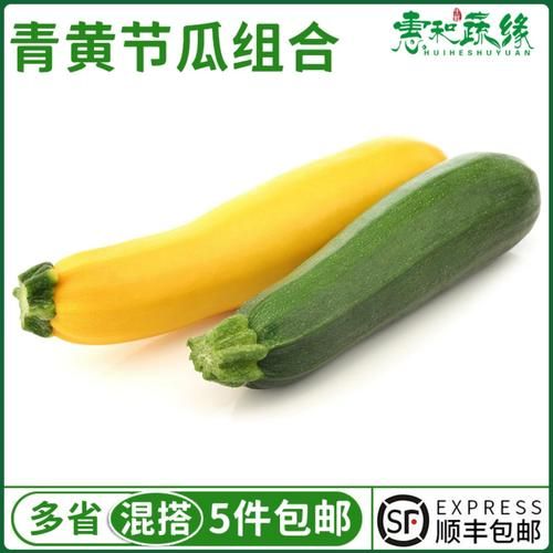 节瓜是不是西葫芦_节瓜和西葫芦的区别-第2张图片-山城妙识 节瓜是不是西葫芦_节瓜和西葫芦的区别-第2张图片-山城妙识