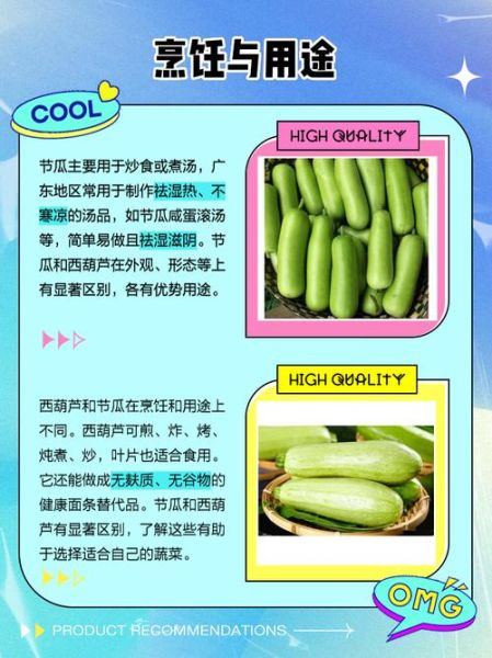 节瓜是不是西葫芦_节瓜和西葫芦的区别-第1张图片-山城妙识 节瓜是不是西葫芦_节瓜和西葫芦的区别-第1张图片-山城妙识