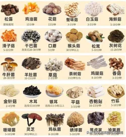 菌菇类大全有哪些_菌菇类营养价值排行-第3张图片-山城妙识 菌菇类大全有哪些_菌菇类营养价值排行-第3张图片-山城妙识