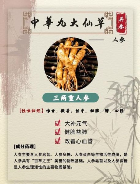 人参的功效与作用及禁忌_哪些人不适合吃人参-第1张图片-山城妙识