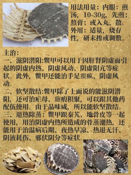 鳖甲的功效与作用及食用方法_鳖甲怎么吃好-第1张图片-山城妙识 鳖甲的功效与作用及食用方法_鳖甲怎么吃好-第1张图片-山城妙识