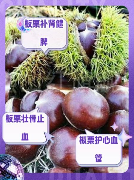 生板栗的功效与作用_生板栗的禁忌人群有哪些-第2张图片-山城妙识 生板栗的功效与作用_生板栗的禁忌人群有哪些-第2张图片-山城妙识