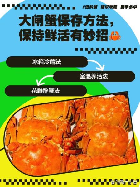 活的大闸蟹怎么保存_大闸蟹能放几天不死-第1张图片-山城妙识