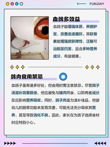 鸽子血的功效与作用_鸽子血怎么吃效果最好-第2张图片-山城妙识 鸽子血的功效与作用_鸽子血怎么吃效果最好-第2张图片-山城妙识