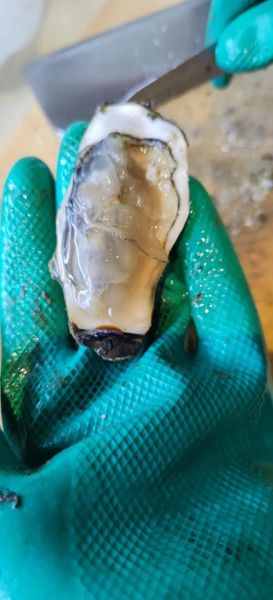 牡蛎怎么清洗_牡蛎清蒸几分钟才熟-第3张图片-山城妙识