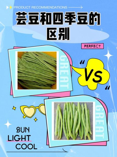 大芸豆图片大全_大芸豆和芸豆的区别是什么-第1张图片-山城妙识 大芸豆图片大全_大芸豆和芸豆的区别是什么-第1张图片-山城妙识