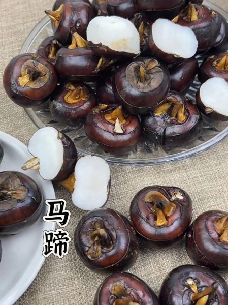 荸荠煮多久能熟_荸荠要煮多长时间才软糯-第3张图片-山城妙识 荸荠煮多久能熟_荸荠要煮多长时间才软糯-第3张图片-山城妙识