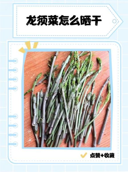 干龙须菜泡开还用煮吗_龙须菜泡发后怎么处理-第1张图片-山城妙识